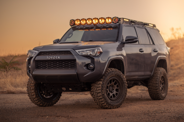 Yota Family